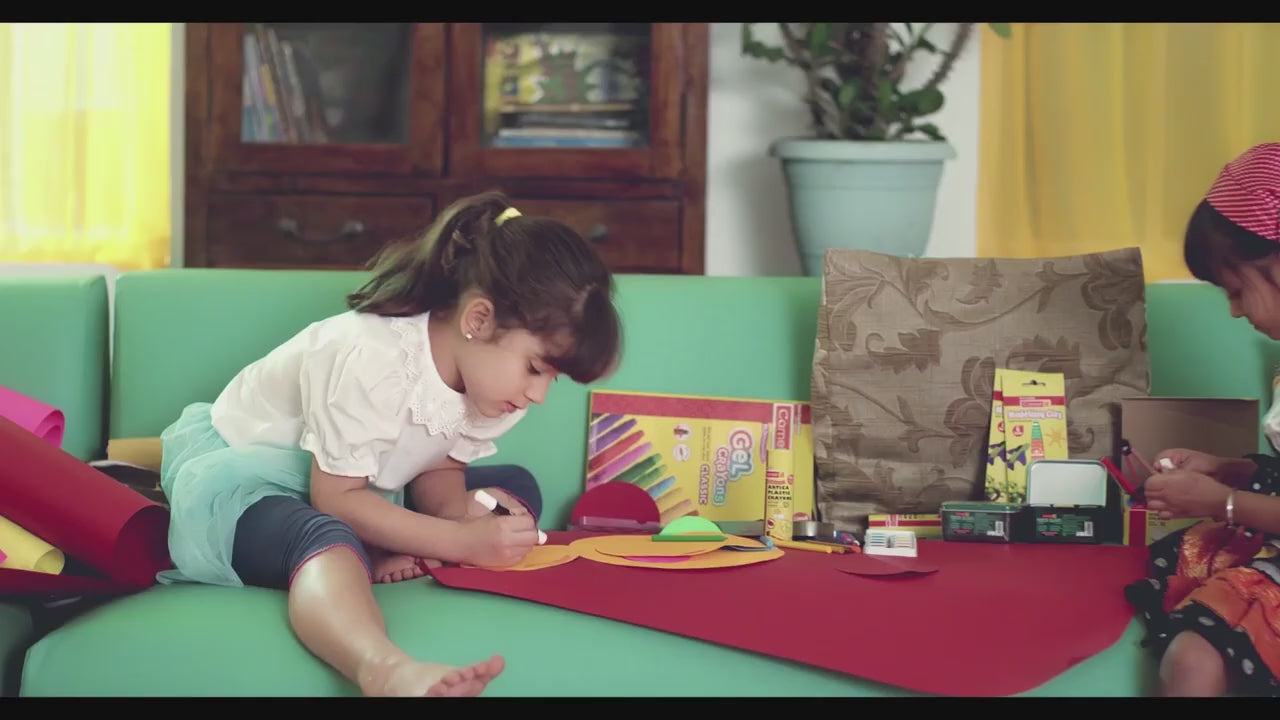 CAMLIN, Dissection Instruments Box - SCHOLAR | Set of 19. – OXFORD ...